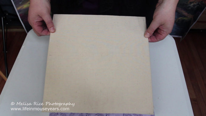 How to Make a Disney Shadow Box | Life in Mouse Years