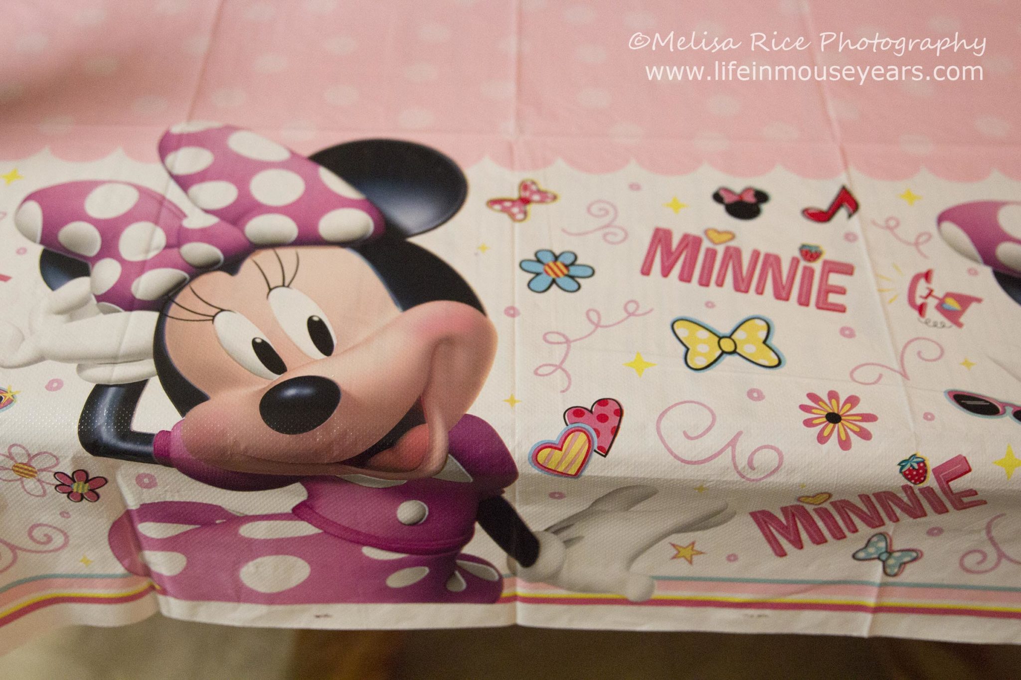 Minnie Mouse Birthday Party Ideas | Life in Mouse Years