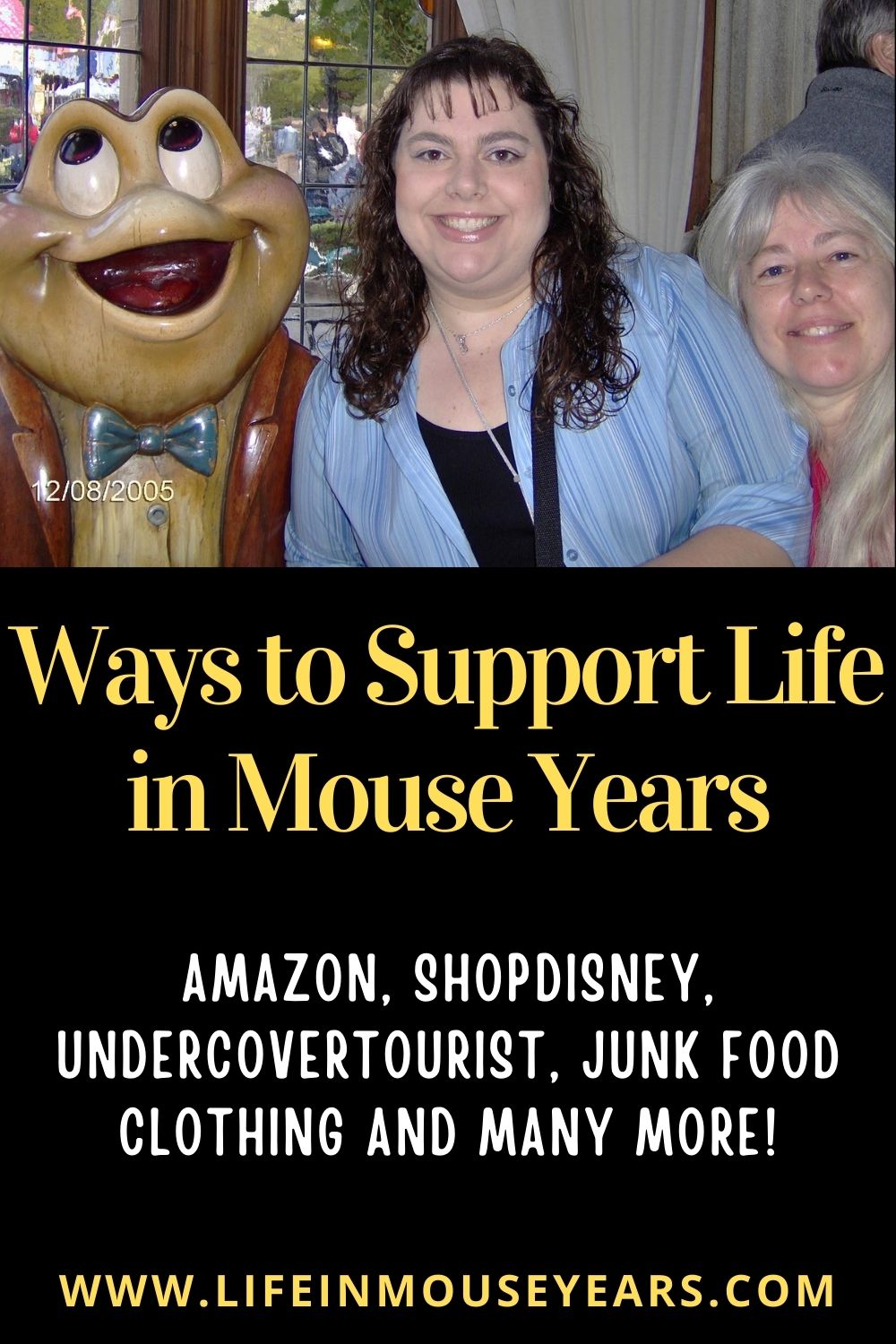 Ways to Support Life in Mouse Years | Life in Mouse Years